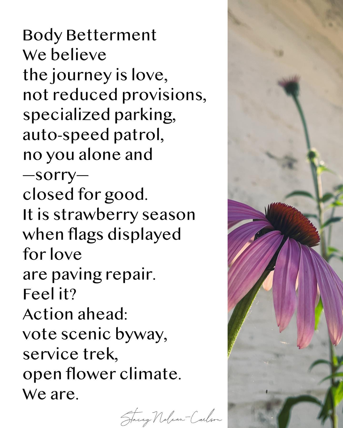 Strawberry Season Photo – Stacey Nalean-Carlson